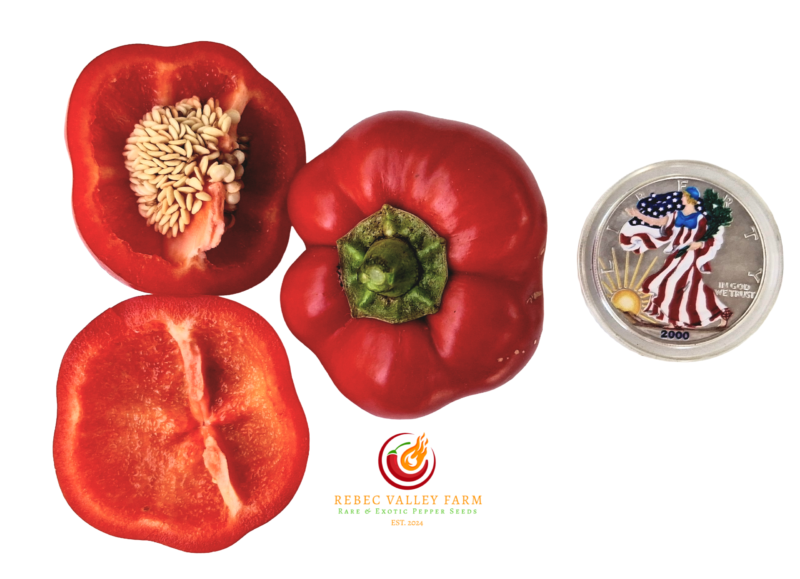 Alma Paprika Pepper | Rebec Valley Farm